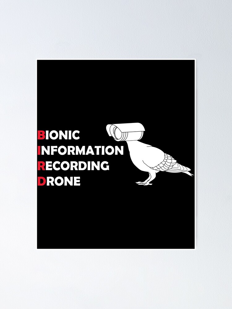 "Drone Conspiracy Theory Birds Are Not Real design" Poster by ...