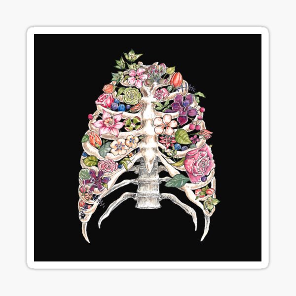 "Rib Cage " Sticker for Sale by QualityClo | Redbubble