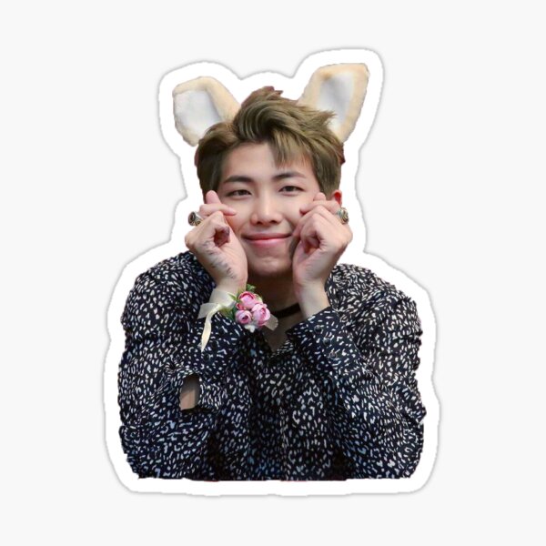 "BTS | RM - NAMJOON CUTE" Sticker for Sale by syoocs- | Redbubble