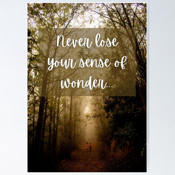 "Never Lose Your Sense of Wonder" Poster for Sale by CassieNash | Redbubble