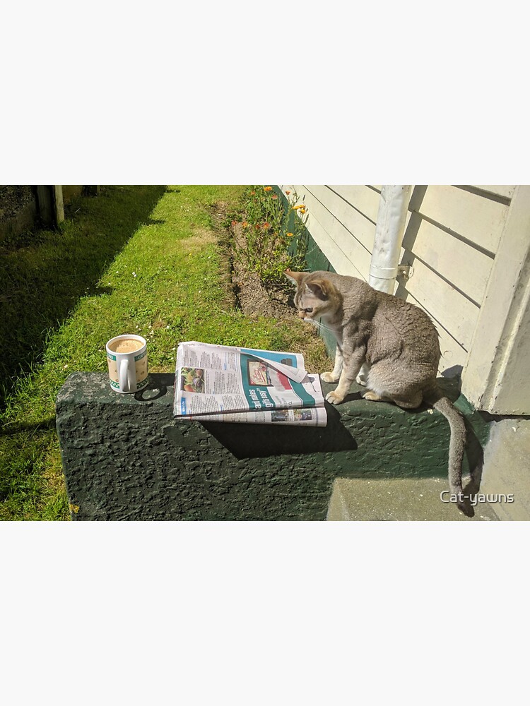 "Speedball reading the paper" Sticker for Sale by Cat-yawns | Redbubble