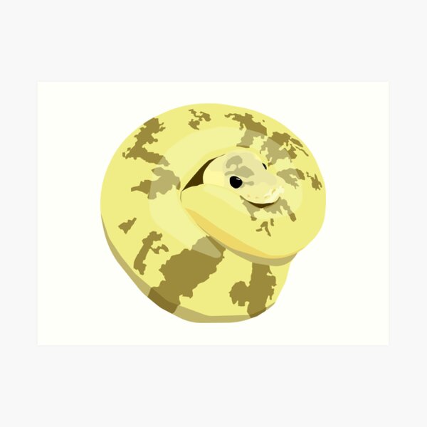 "Ball Python Snake cute - Banana" Art Print for Sale by lepapillonazur ...