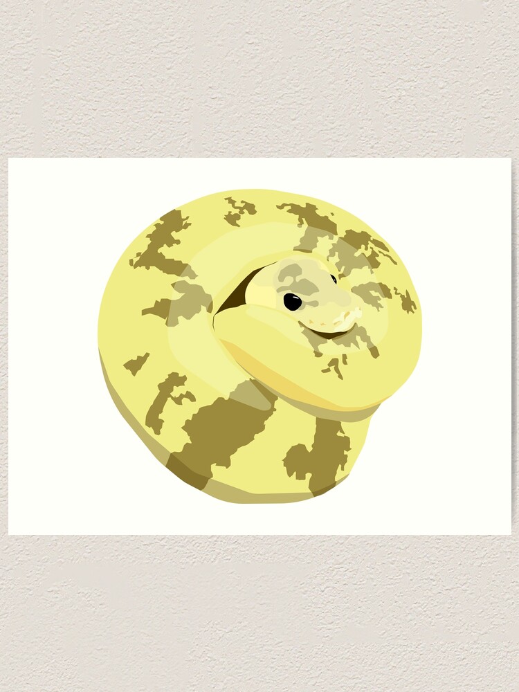 "Ball Python Snake cute - Banana" Art Print for Sale by lepapillonazur ...