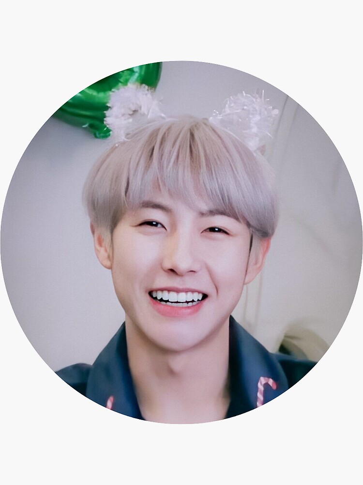 "NCT Renjun Icon" Sticker by neomuhappie | Redbubble