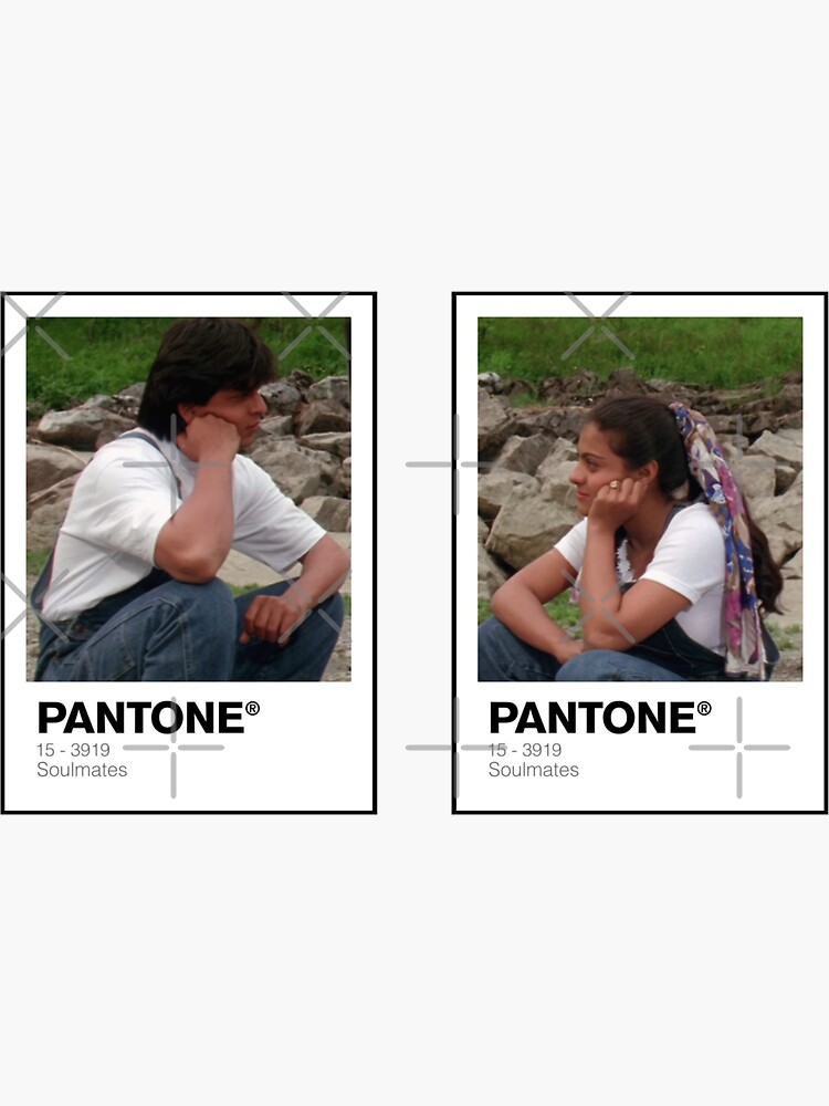 "Raj and Simran Pantone " Sticker for Sale by BollywoodAI | Redbubble