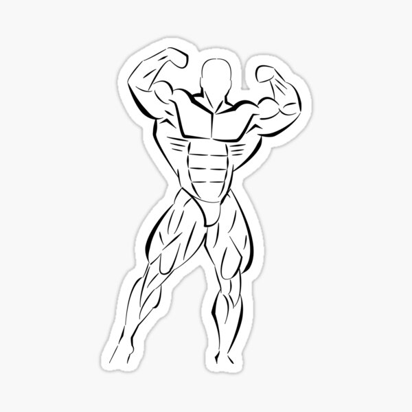 "physic bodybuilder" Sticker for Sale by OMdesigns93 | Redbubble