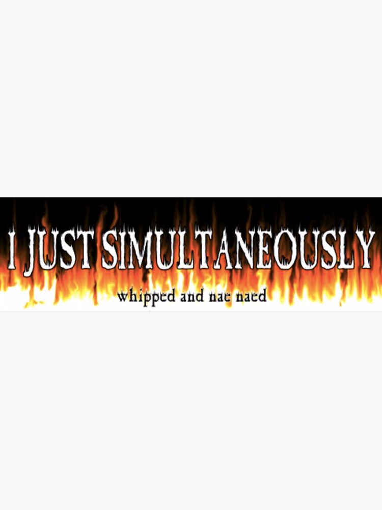 ""I Just Simultaneously Whipped and Nae Naed" MatPat" Sticker for Sale ...