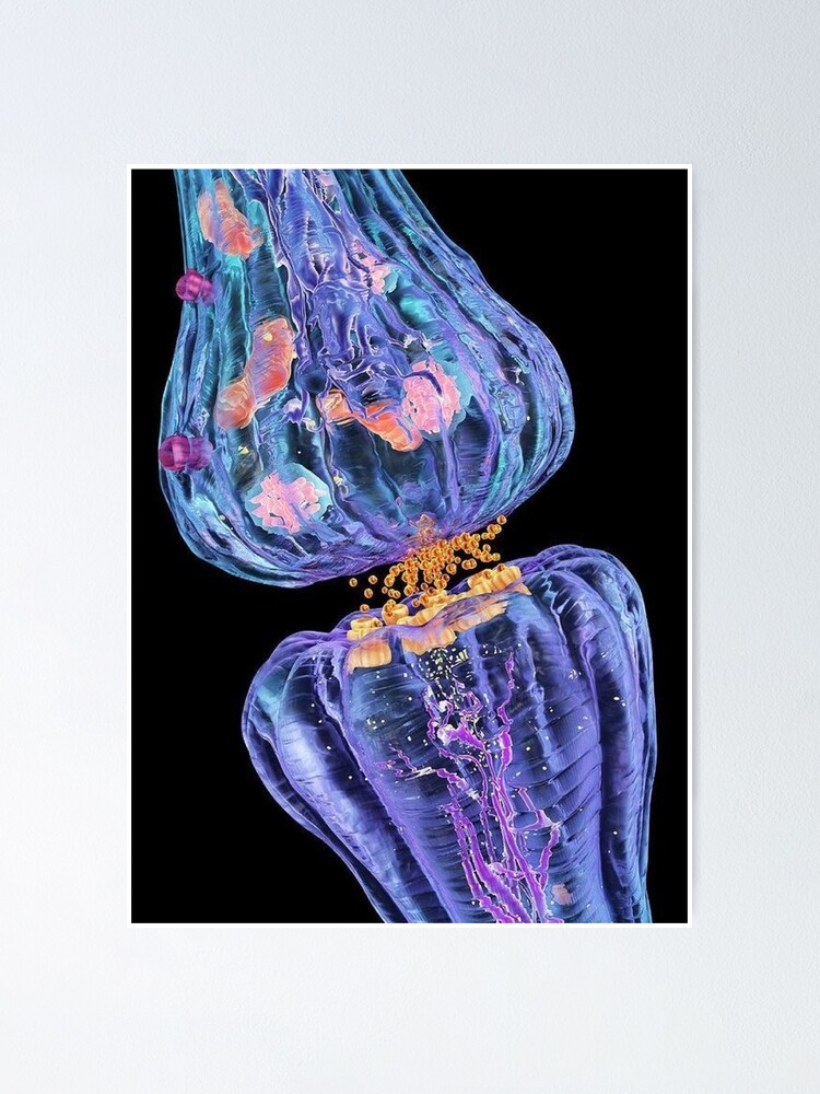 "Synapse" Poster for Sale by Scenic | Redbubble