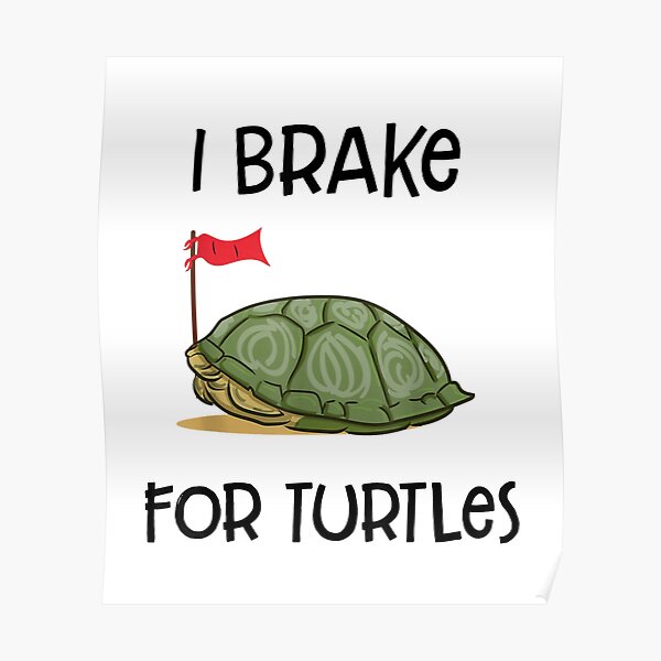 "I Brake For Turtles 12" Poster for Sale by V28LBFF8 | Redbubble