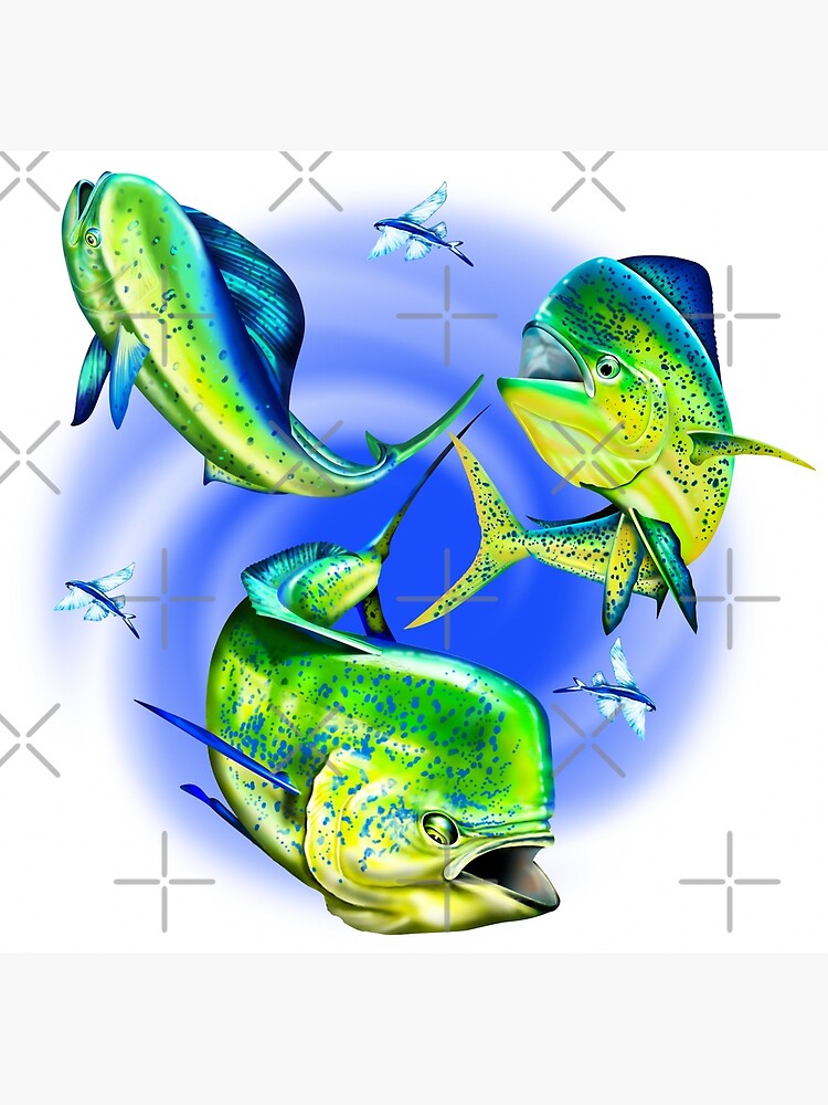 "Mahi Mahi Cow and 2 Bulls" Art Print for Sale by iColor4U | Redbubble