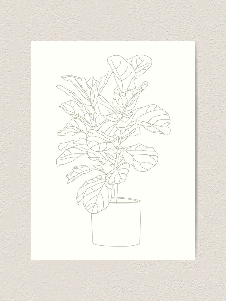 "Fiddle Leaf Fig Outline" Art Print for Sale by AnOrganicAussie | Redbubble