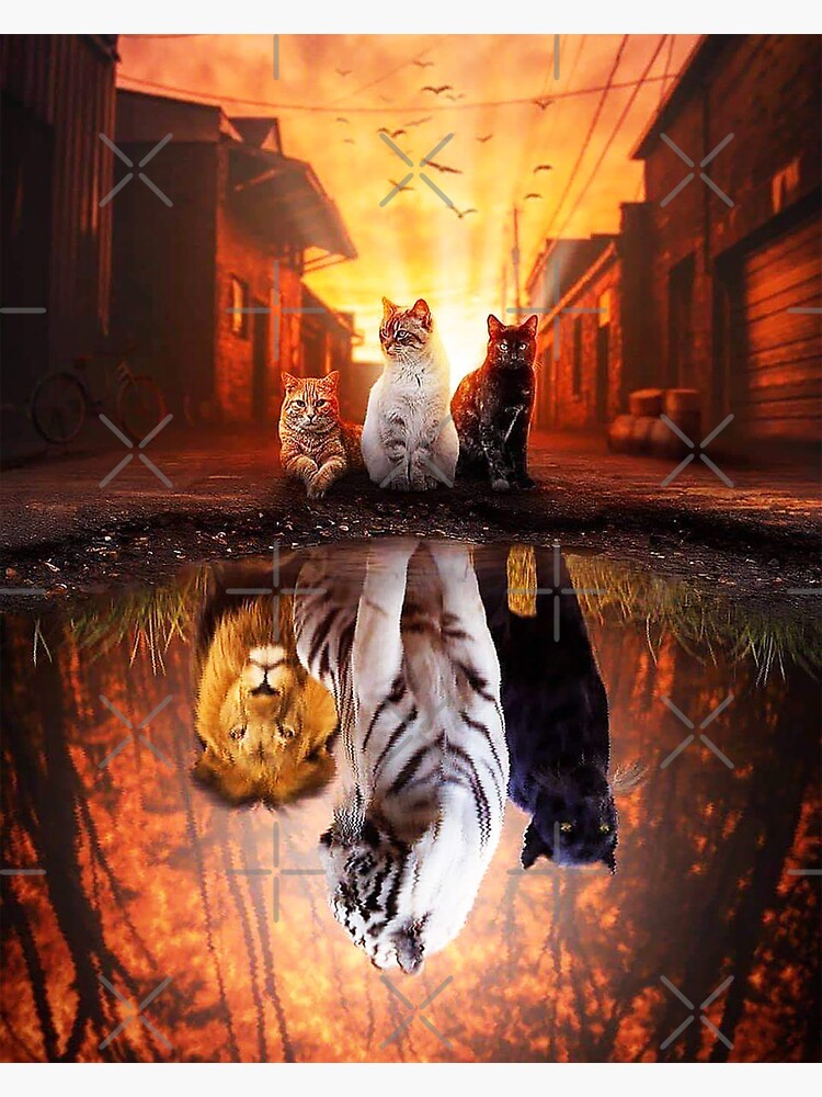 "Cat vs Tiger - Cat is Tiger Reflection" Sticker by KetyKa | Redbubble