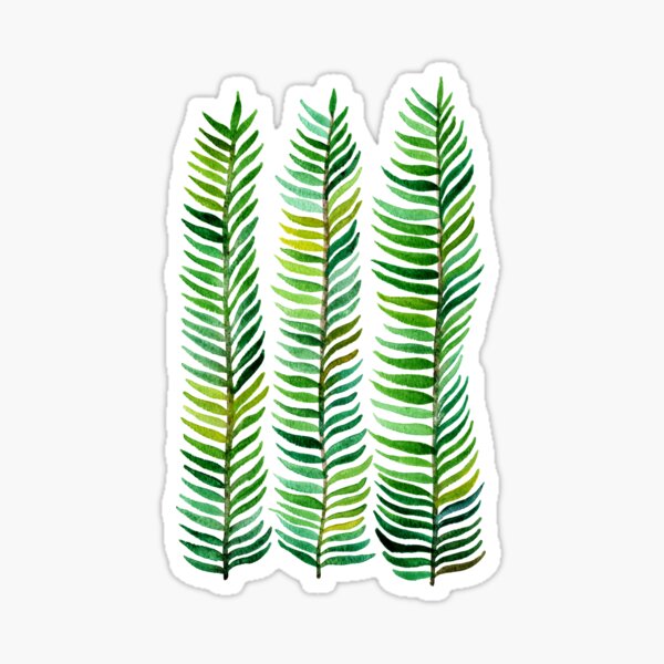 "Seaweed" Sticker for Sale by catcoq | Redbubble