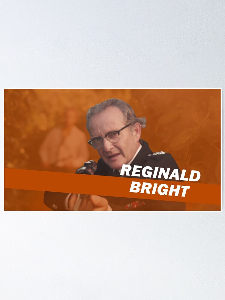 "Reginald Bright- Brooklyn 99 Intro Style" Poster by theboraart | Redbubble