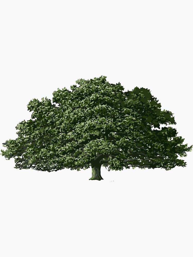 "Oak Tree Sticker" Sticker for Sale by sorryforthewait | Redbubble