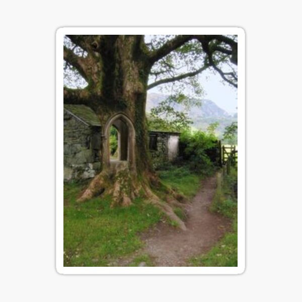 "Amazing gate tree." Sticker by lanthi | Redbubble
