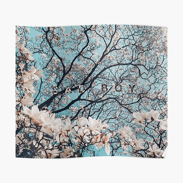 "Sad Boy" Poster for Sale by Arianna-666 | Redbubble