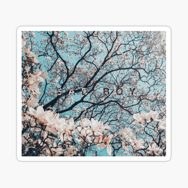 "Sad Boy" Sticker for Sale by Arianna-666 | Redbubble