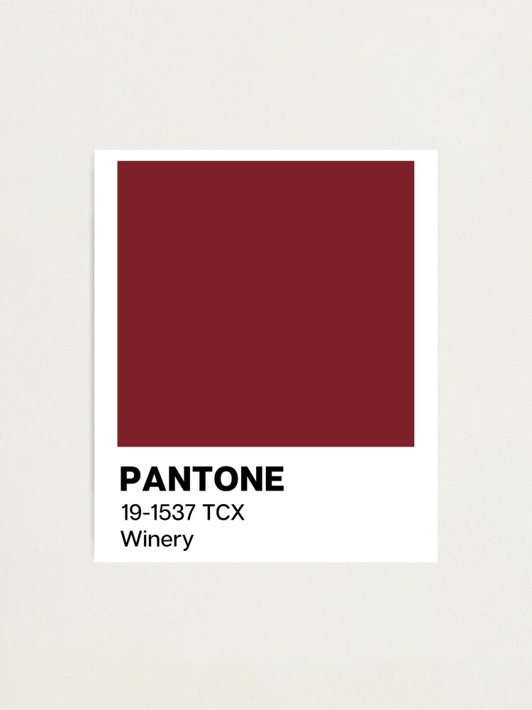 "Pantone Winery" Photographic Print by piastrelli | Redbubble