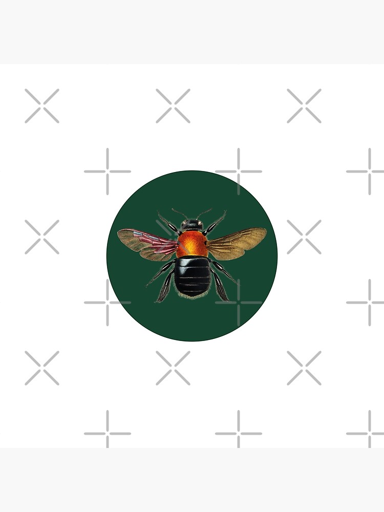 "Insect logo " Art Print by FreshDeliveries | Redbubble