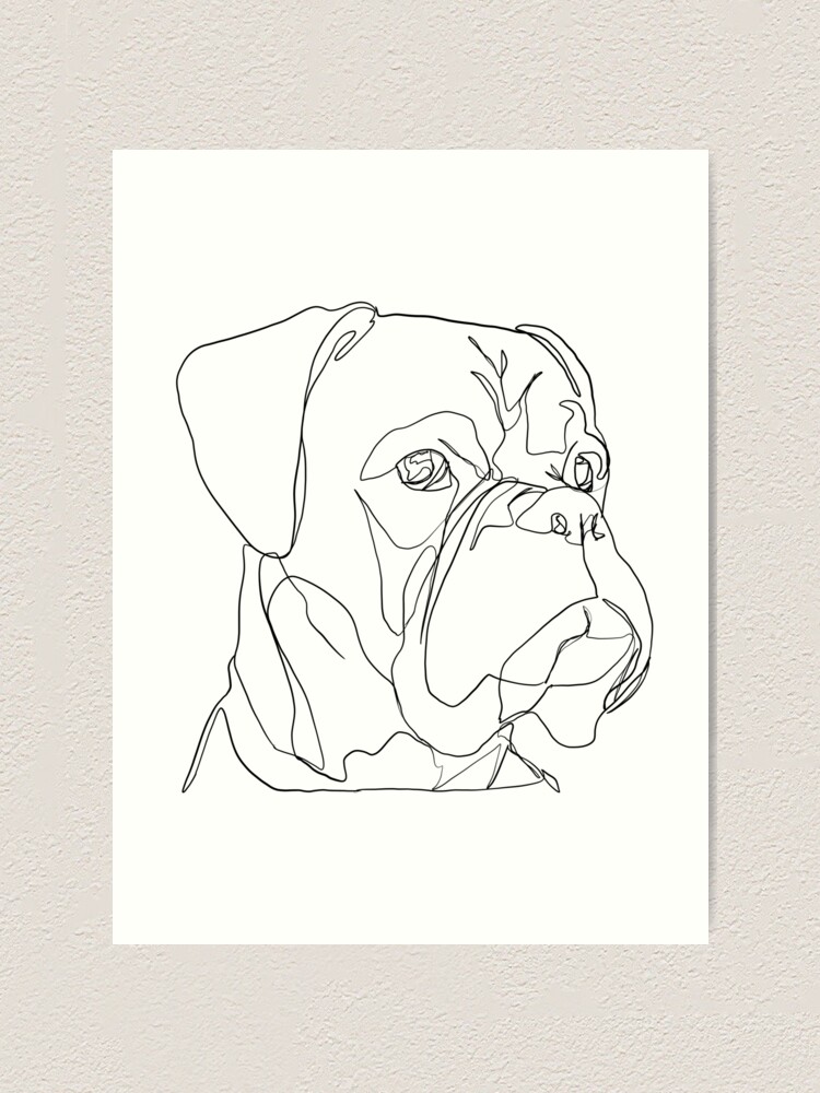 "Boxer Line Drawing" Art Print by aimeetregunno | Redbubble