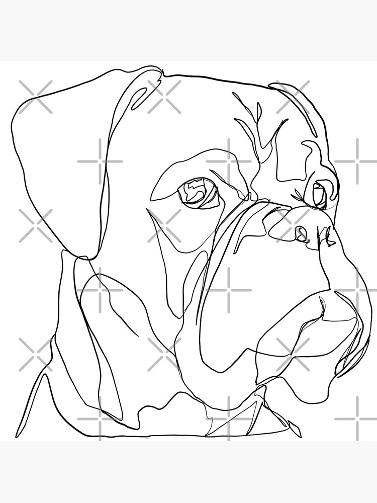 "Boxer Line Drawing" Art Print by aimeetregunno | Redbubble