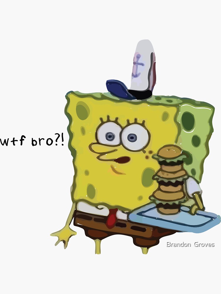 "wtf bro -meme" Sticker for Sale by Brand015 | Redbubble