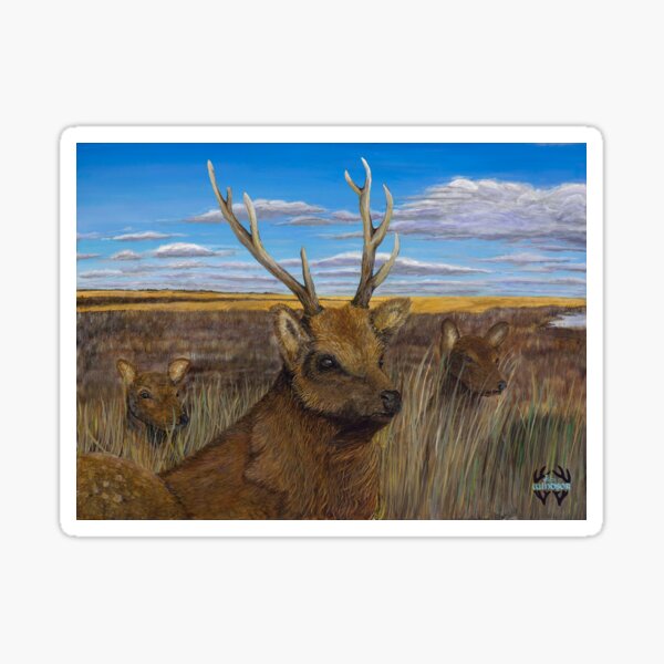 "Sika deer" Sticker for Sale by windsor40 | Redbubble
