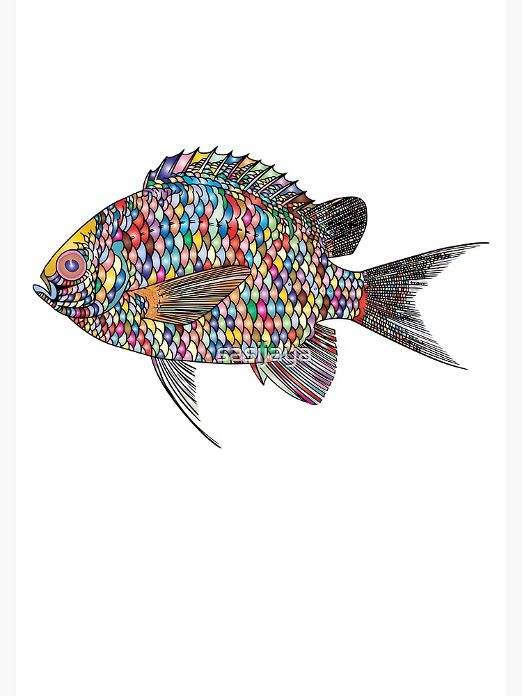 "Colorful Zebrafish" Poster by sasijaya | Redbubble