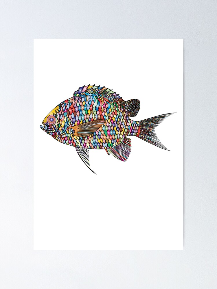 "Colorful Zebrafish" Poster by sasijaya | Redbubble