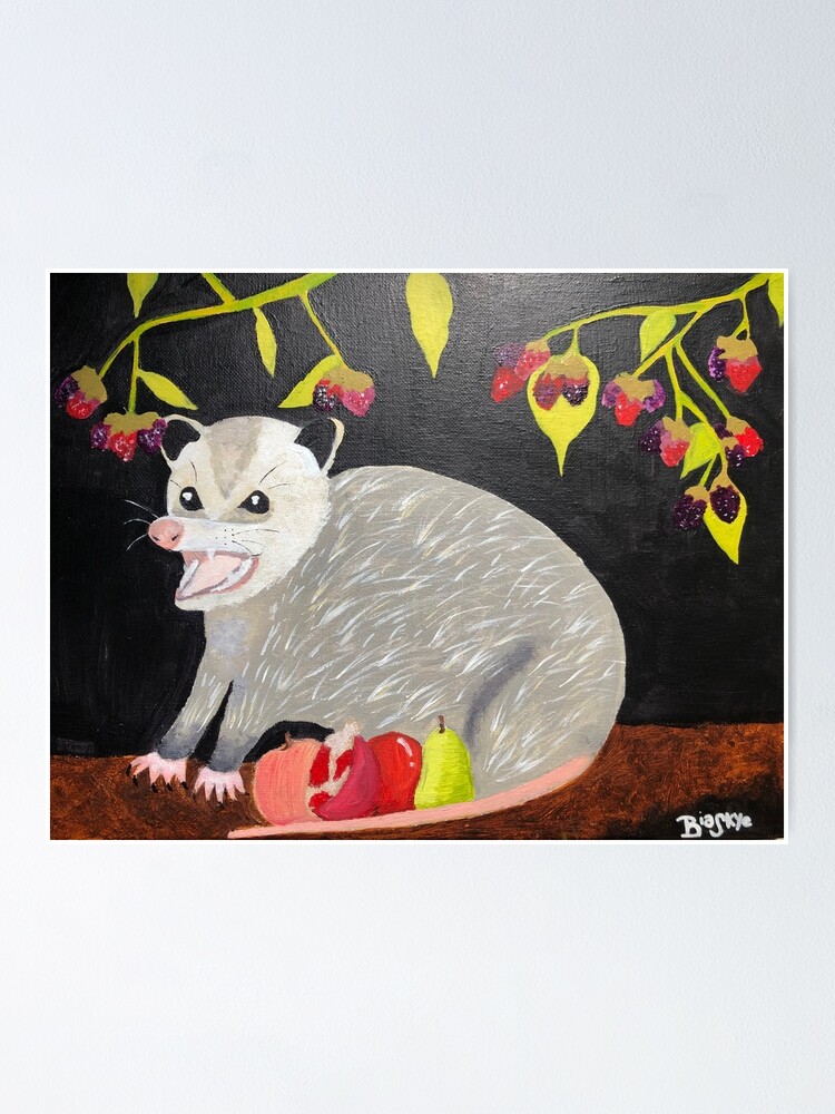 "Opossum " Poster by BelindaSkye | Redbubble