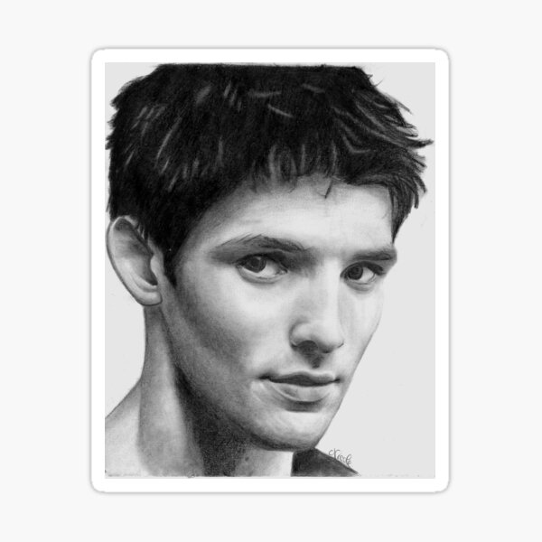 Merlin Stickers | Redbubble