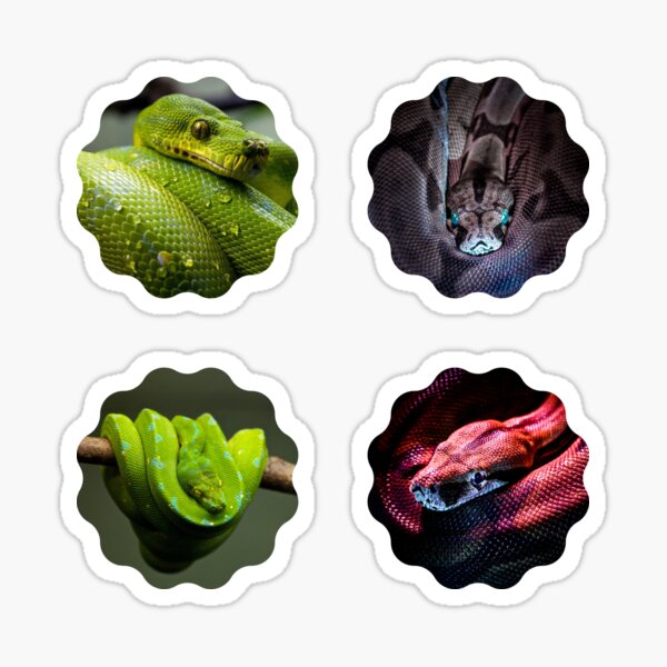 "Snakes Sticker Pack Sticker Pack" Sticker for Sale by nathalieaynie ...