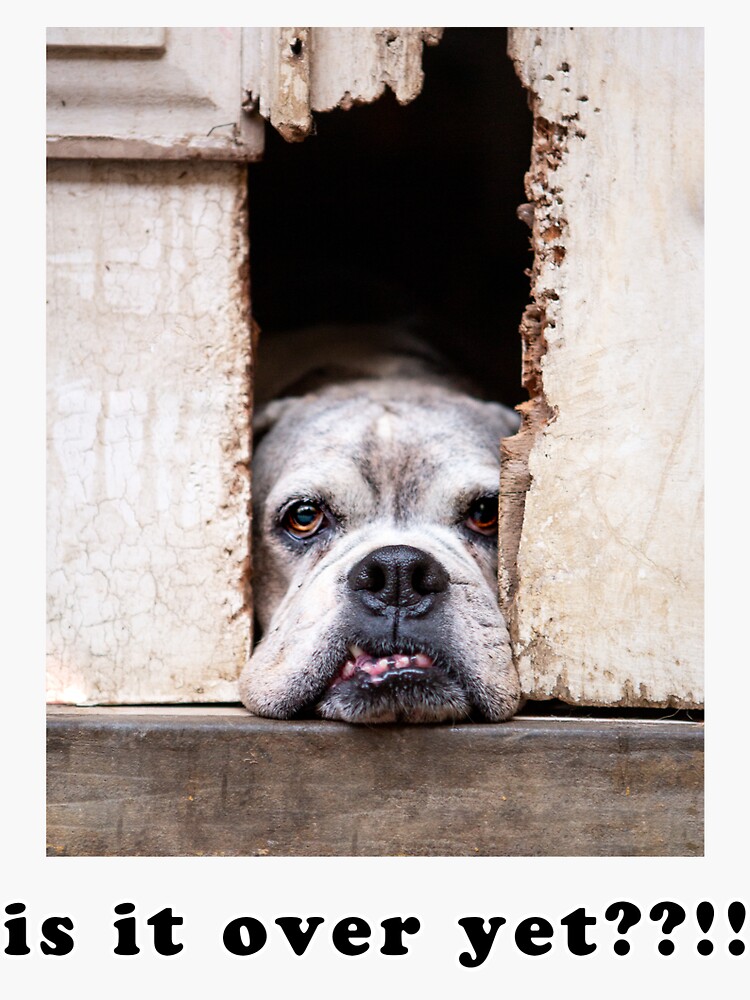 "is it over yet?" Sticker for Sale by DosImagery | Redbubble