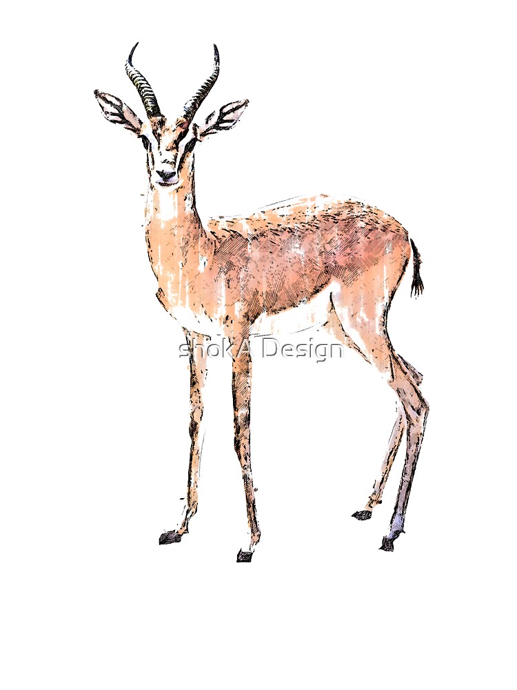 Gazelle Drawing Easy
