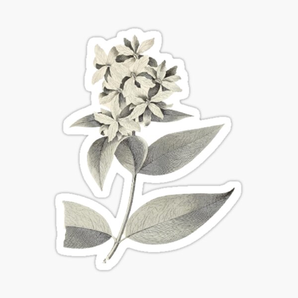 "Plant Biodiversity Illustration" Sticker by MyFreshPrints | Redbubble
