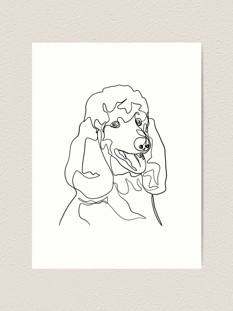 "Poodle Line Drawing" Art Print for Sale by aimeetregunno | Redbubble