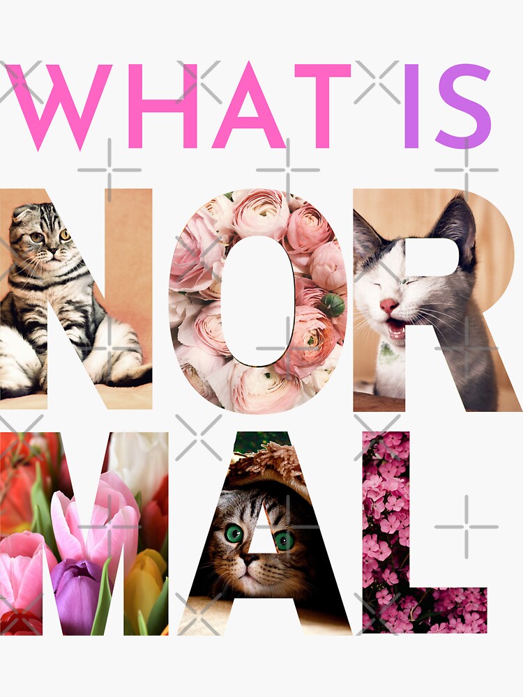 "What is Normal Funny Cat Design" Sticker for Sale by Pumpkin-Prints ...