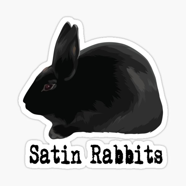 "Satin rabbits" Sticker for Sale by joyfuldesigns55 | Redbubble