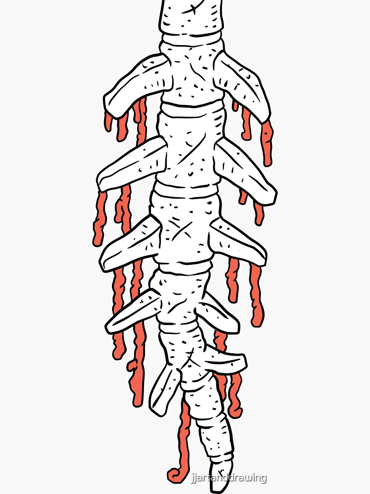 "floating spine. scary bones." Sticker by jjartanddrawing | Redbubble