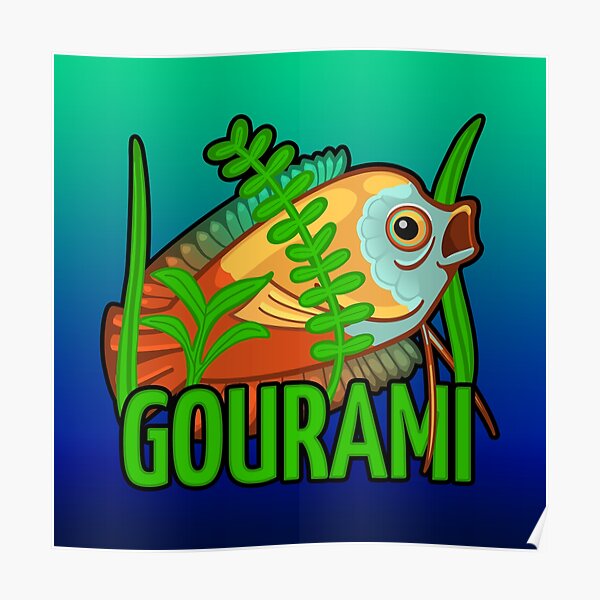 "Skittish Gourami Fish " Poster for Sale by TheSaltySnail | Redbubble