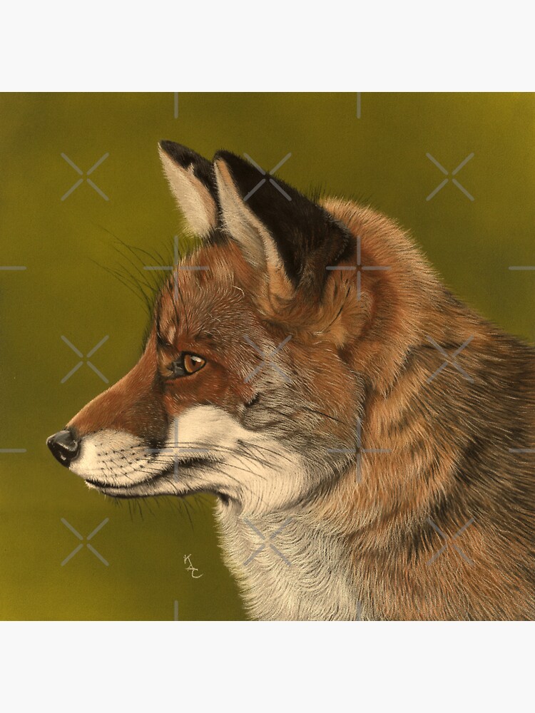 "Reynard the Red Fox" Sticker by artbykarieann | Redbubble