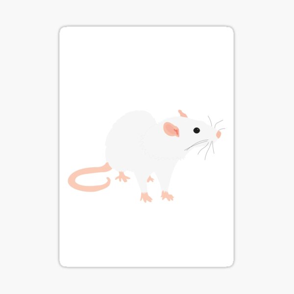 "White rat" Sticker for Sale by Aleksandr48 | Redbubble
