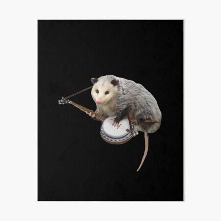 "Opossum Playing Banjo" Art Board Print by TEE-ST0RY | Redbubble