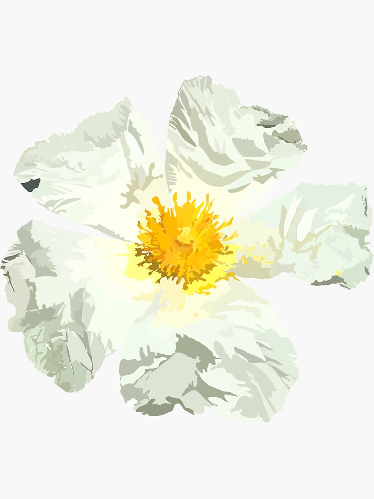 "Rockrose" Sticker for Sale by michdevilish | Redbubble