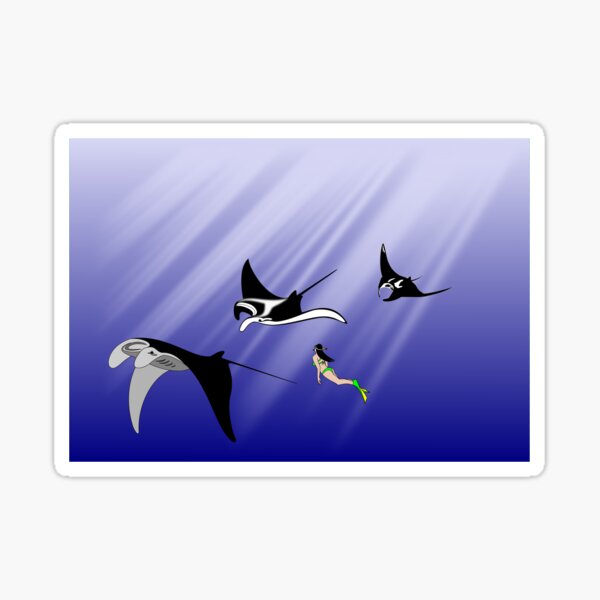 "Freediving with Manta" Sticker for Sale by leororing | Redbubble