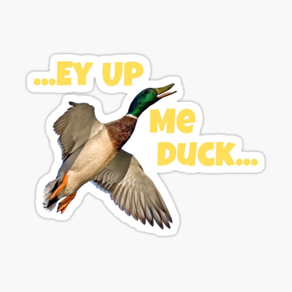 Ey Merch & Gifts for Sale | Redbubble