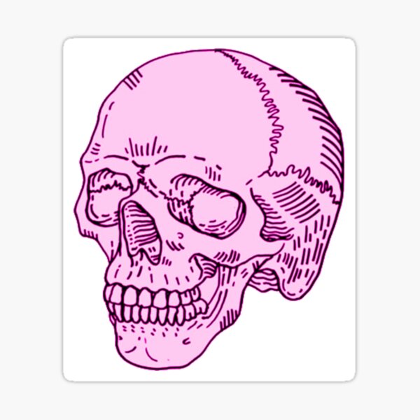 "Pink Skull" Sticker for Sale by meganbxiley | Redbubble