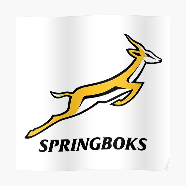 Rugby Springboks Posters | Redbubble