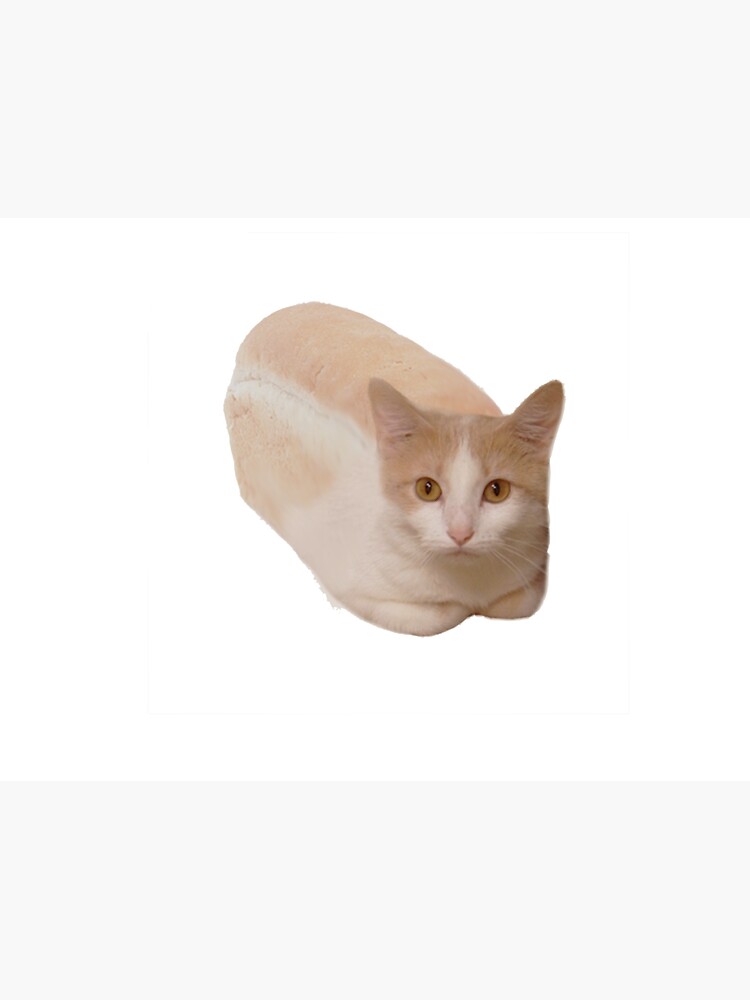 "Cat Bread Loaf meme " Sticker for Sale by Lexiesapig | Redbubble